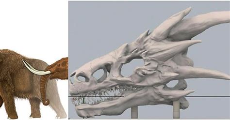 A To Scale Model Of Balerions Skull As Seen In House Of The Dragon In Comparison To A Woolly