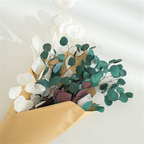 Preserved Eucalyptus Cinerea White And Green Dried Flowers Direct