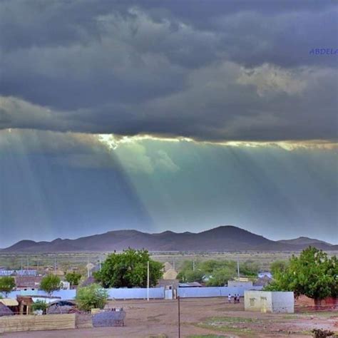 منتدى شباب محلية الدالي والمزموم