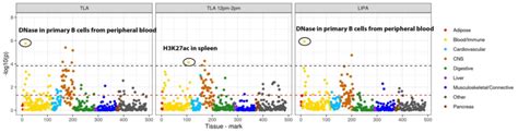 Tissue Specific Heritability Enrichment P Values For Traits With