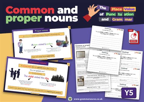 Year 5 The Place Value Of Punctuation And Grammar Common And Proper Nouns Objective 1 Of 19