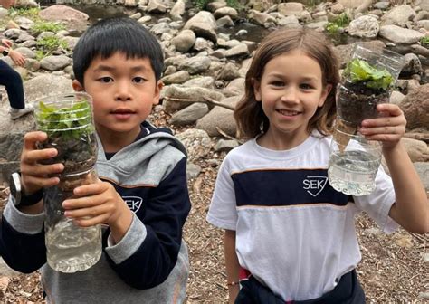 Sek International School Riyadh Riyadh Saudi Arabia