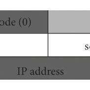 ICMP Echo Response Message Format Diagram Download Scientific Diagram