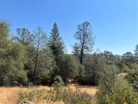Penn Valley Ca Homes For Sale And Real Estate