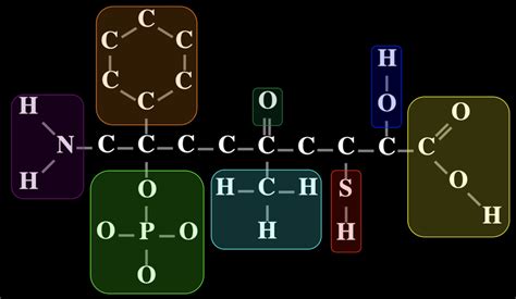 Functional Groups Diagram Quizlet Functional Groups Diagram Quizlet
