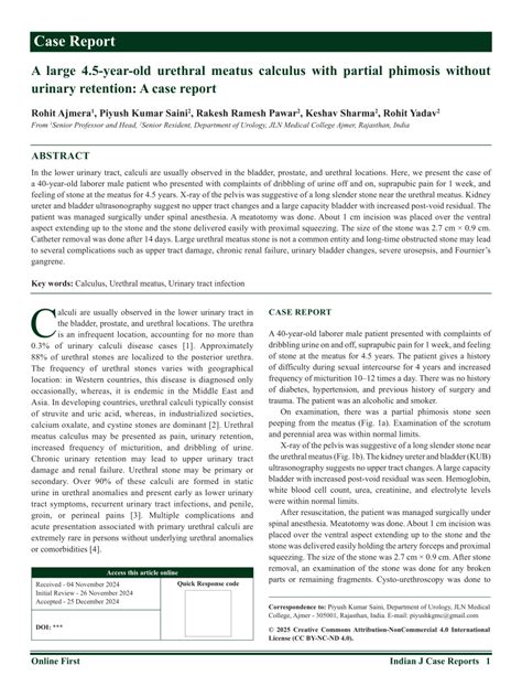 Pdf A Large 4 5 Year Old Urethral Meatus Calculus With Partial Phimosis Without Urinary