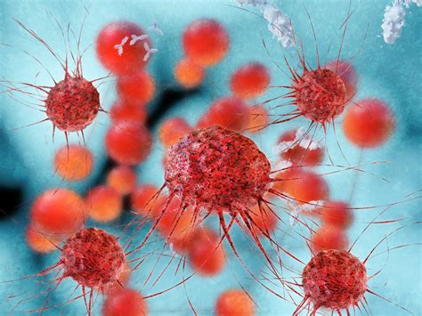 Fruits And Veggies Really Take A Bite Out Of Breast Cancer Easy