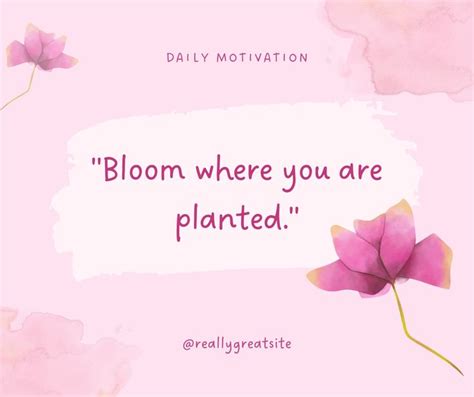 Pink Flower Quote Facebook Post