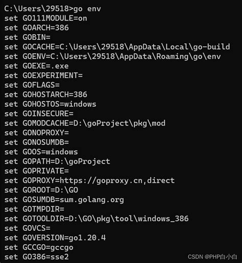 Windows 配置go语言环境windows修改gopath Csdn博客 Windows 配置go语言环境windows修改gopath Csdn博客