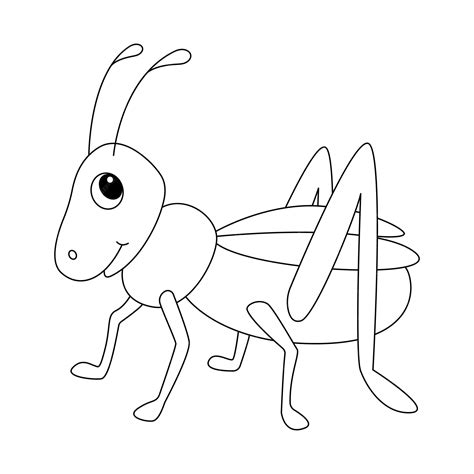 Premium Vector Grasshopper Vector Grasshopper Contour For Coloring Book