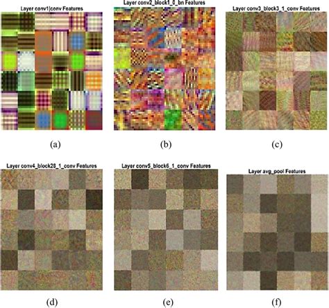 First 36 Features Learned By Densenet 201 In Different Layers Download Scientific Diagram