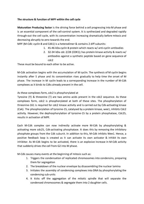 Mpf Within The Cell Cycle The Structure And Function Of Mpf Within The Cell Cycle Maturation