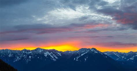 Paul G Allen School Of Computer Science And Engineering On Linkedin Uwallen Ai Datascience