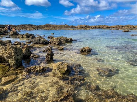 9 Best Snorkeling Spots In Oahu Hawaii
