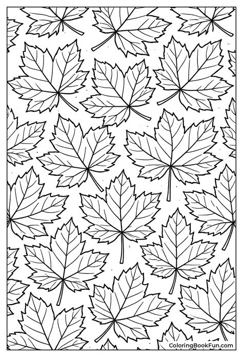 52 Leaf Coloring Pages Free Pdfs Coloringbookfun