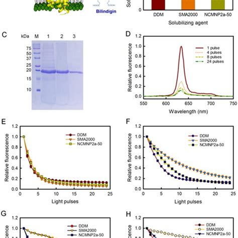 Comparative Effectiveness Of Differing Solubilizing Agents Toward