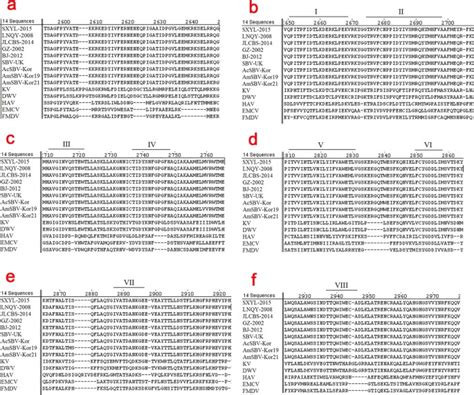 A Comparison Of Biological Characteristics Of Three Strains Of Chinese