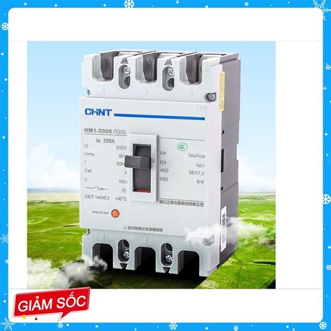 [genuine] Chint Mccb Block Circuit Breaker 3p 160a 200a 250a Shopee Philippines