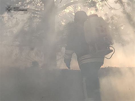 Лісова пожежа на Харківщині сталася 1 травня внаслідок обстрілу Фото з місця