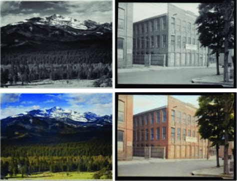 Black And White Images Colorized Using Automatic Colorization Images