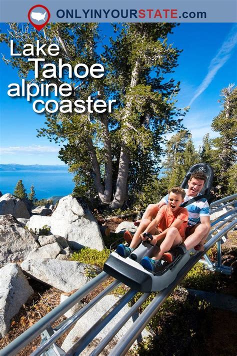 Alpine Coaster At Lake Tahoe Thrilling Ride In Norcal Best Roller