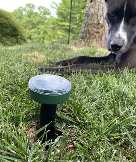Sonic Spike Mole Gopher Vole Pest Repellent — 🛍️ The Retail Market