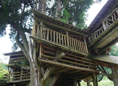 高森ツリーハウス たくま整体 大分九州観光 神社仏閣 古代史