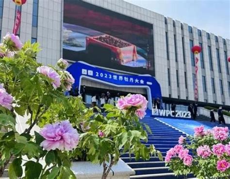 从“一花独秀”到“世界飘香”——全面深化改革赋能菏泽高质量发展（牡丹产业篇）澎湃号·政务澎湃新闻 The Paper