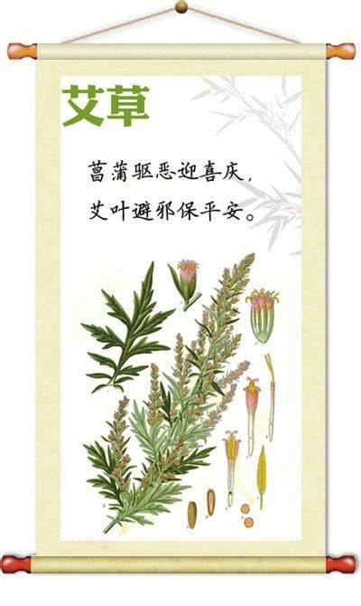 艾叶怎么画简单 简笔画 手绘 第9页 大山谷图库