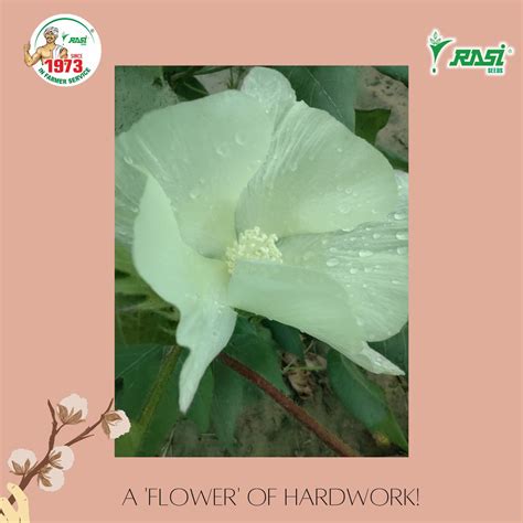 Pravin Kale Posted On Linkedin