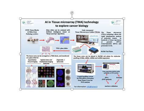 Tissue Microarray Tma Core Facility To Support Cancer Research
