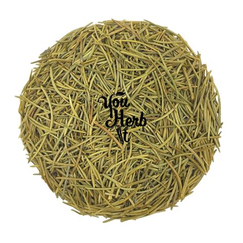 Pine Needles Cut Youherbit