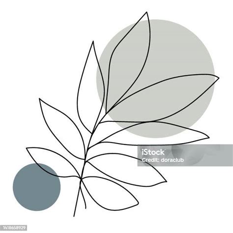 식물은 라인 아트를 남깁니다 윤곽선 그리기 미니멀리즘 예술 0명에 대한 스톡 벡터 아트 및 기타 이미지 0명 벡터 보보스 Istock