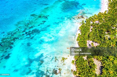 파라다이스 열대 섬 자연 배경 청록색 바다 물과 야자수가있는 아름다운 해변의 최고 공중 무인 항공기 전망 상나 섬 도미니카 공화국 자연에 대한 스톡 사진 및 기타 이미지