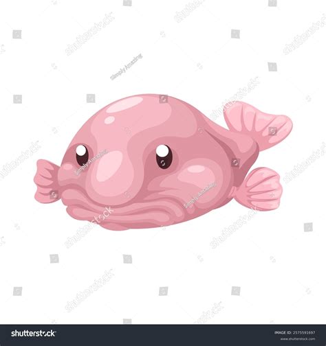 Hundred Blobfish Royalty Free Images Stock Photos Pictures Shutterstock
