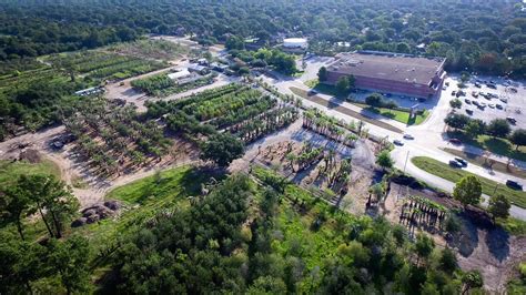 Contact Verdant Tree Farm Houston Tx
