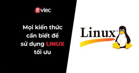 Lunix Là Gì Linux Distro Là Gì Kiến Thức Quan Trọng Cần Biết