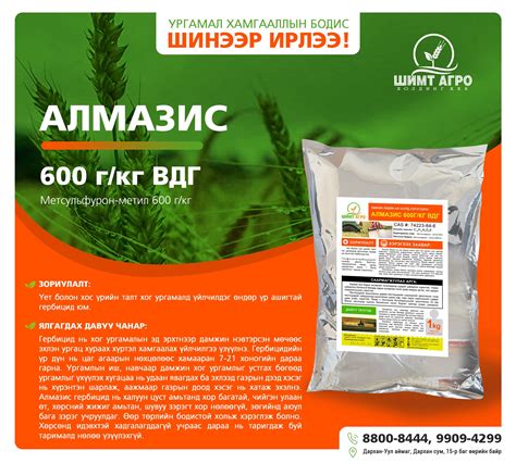 Шимт Агро Холдинг Шимт Агро Холдинг Shimt Agro Holding