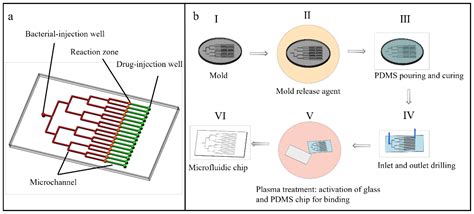 Microfluidic Chip For Detection Of Drug Resistance At The Single Cell Level