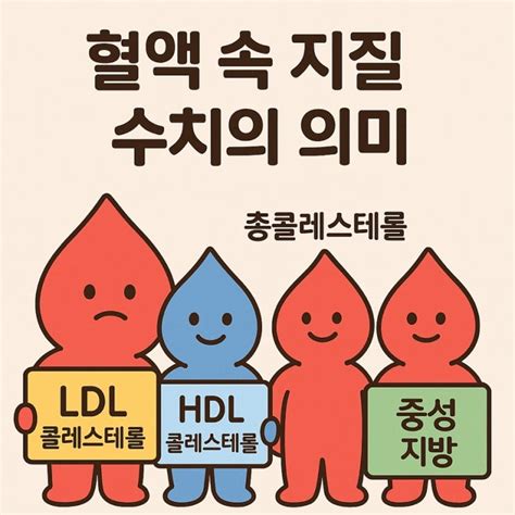 혈액 검사 수치 보는법 고지혈증 Ldl Hdl 총콜레스테롤 중성지방 수치 네이버 블로그