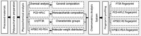 The Main Contents And Procedures Conducted To The Investigation On Download Scientific Diagram