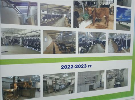 В Рязанской области заработал новый цех переработки молока в блоге Новые и модернизированные