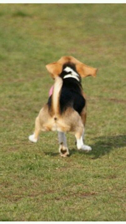 こまったちゃんの好きな事 こまったちゃんのブログ