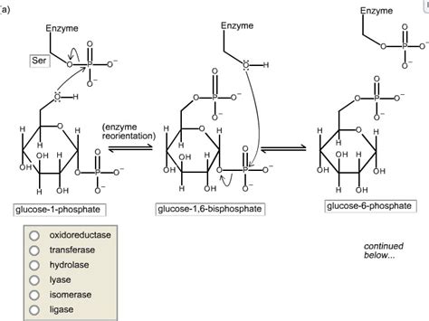 Solved For The Enzymatically Catalyzed Reaction Below
