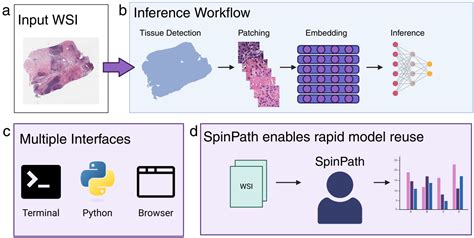 논문 리뷰 Reusable Specimen Level Inference In Computational Pathology