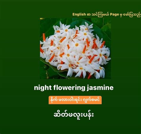 English စာ သင်ကြမယ် Added A New Photo English စာ သင်ကြမယ်