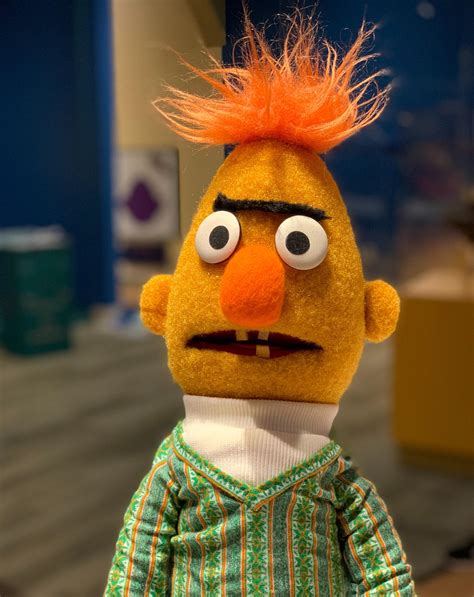 Brad Berts Nephew Sesame Street Rnostalgia