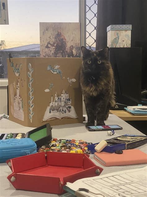 The Dm Has Risen R Catsplayingdnd
