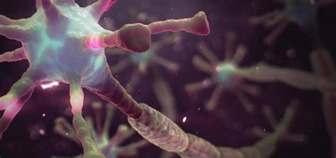 Cidp Treatment Cost In India From Best Doctor