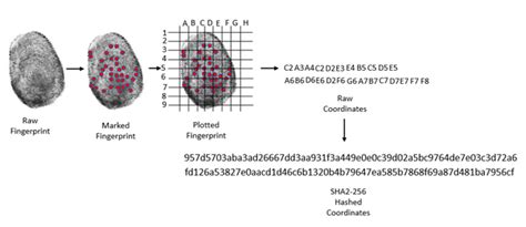 Protecting Mfa Shared Secrets